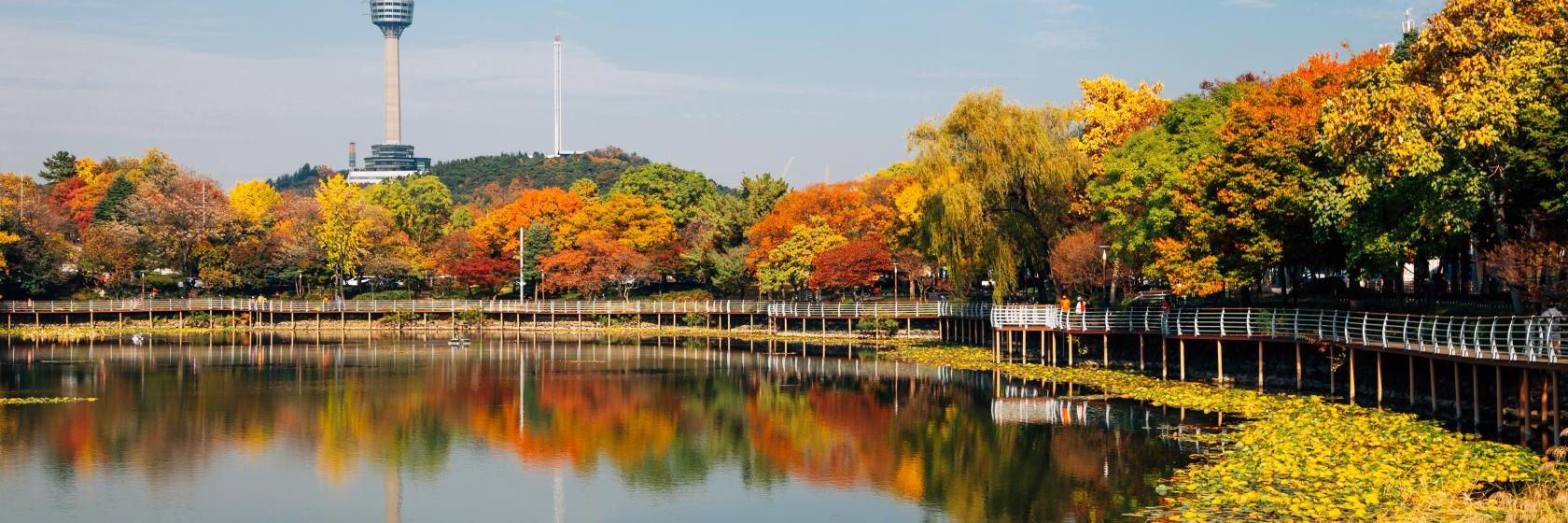 10 Best Daegu Hotels, South Korea (From $50)