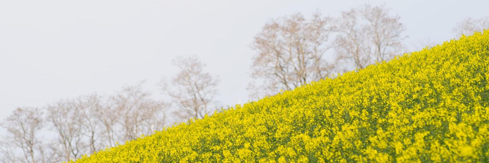 The best available hotels & places to stay near Rettert, Germany