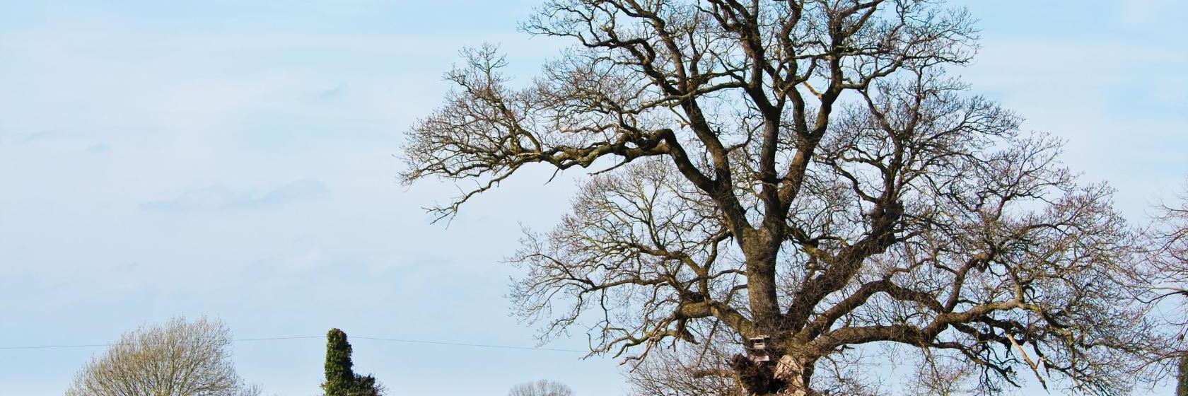 отели в Freckenham, - Booking.com