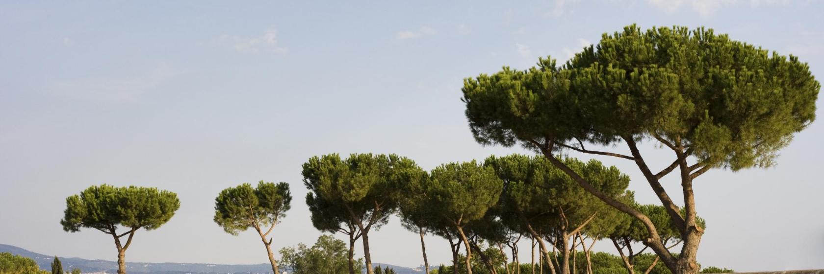 The best hotels in Appio Latino, Rome, Italy