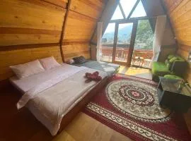 The 10 best villas in Dieng, Indonesia | Booking.com