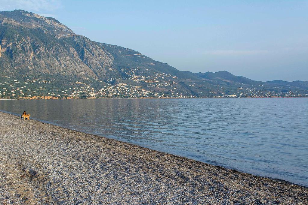 Sea front Villa, Kalamata (updated prices 2025)