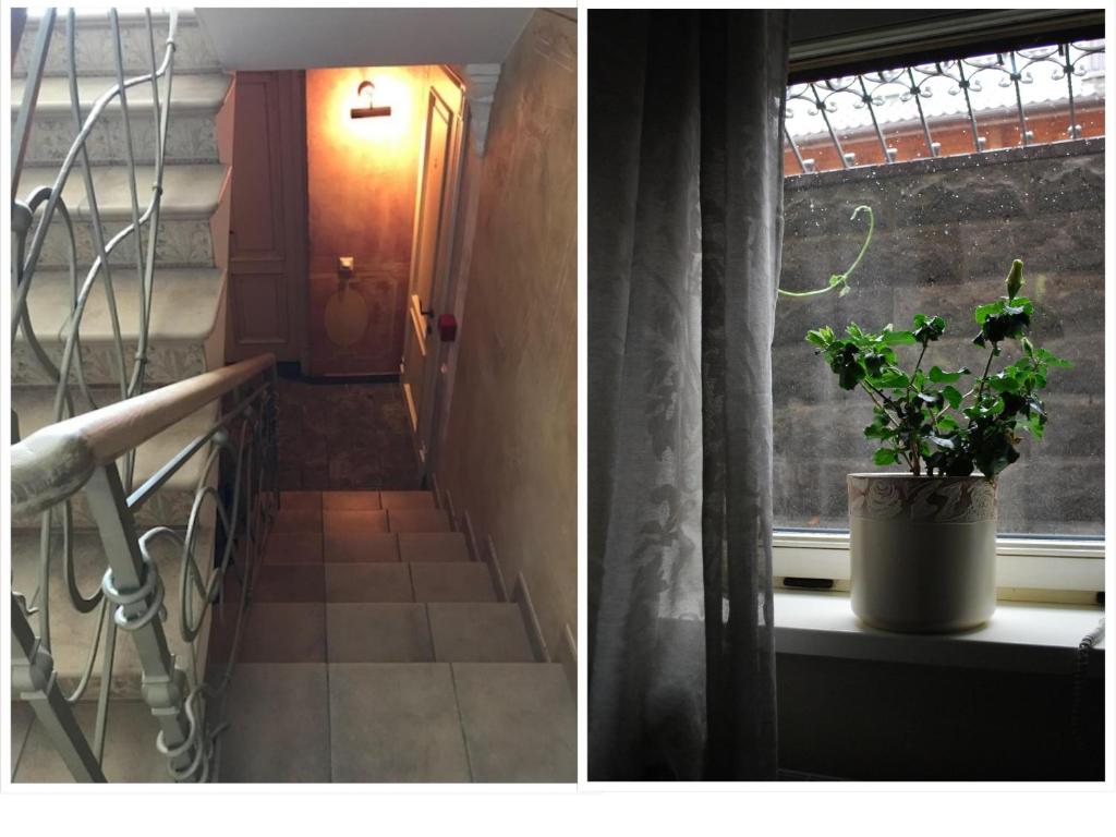 Viva Trakai, Trakai (updated prices 2025)