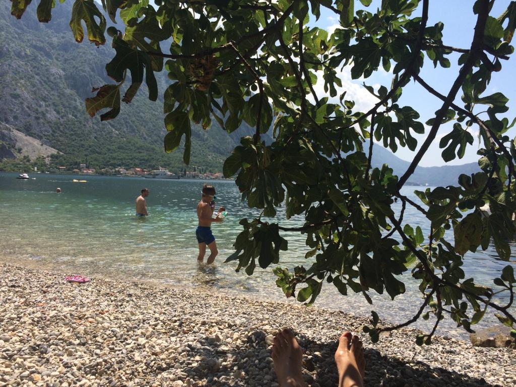 Apartment Babovic Orahovac Kotor, Kotor (updated prices 2025)
