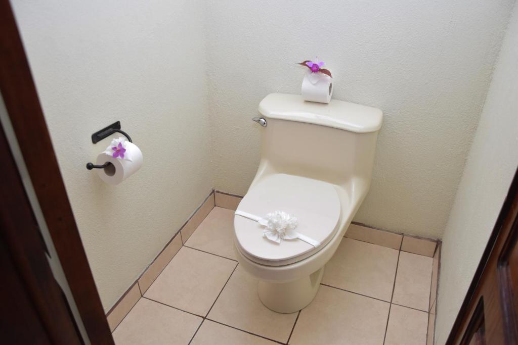 Arenal Volcano Inn, Fortuna (updated prices 2025)