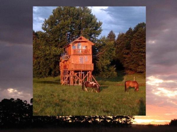 Sycamore Avenue Treehouses & Cottages Accommodation, Windy (updated ...