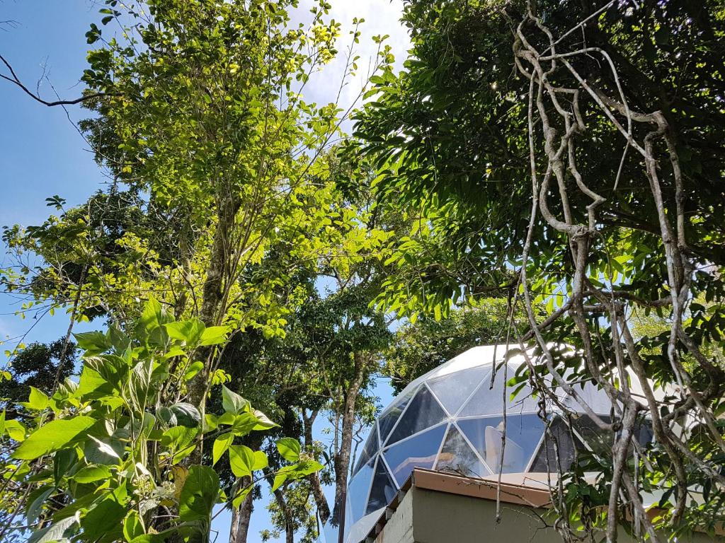 Chira Glamping Resort Monteverde, Monteverde Costa Rica (updated prices ...