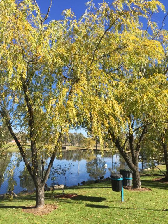 Junee Tourist Park, Junee (updated prices 2025)