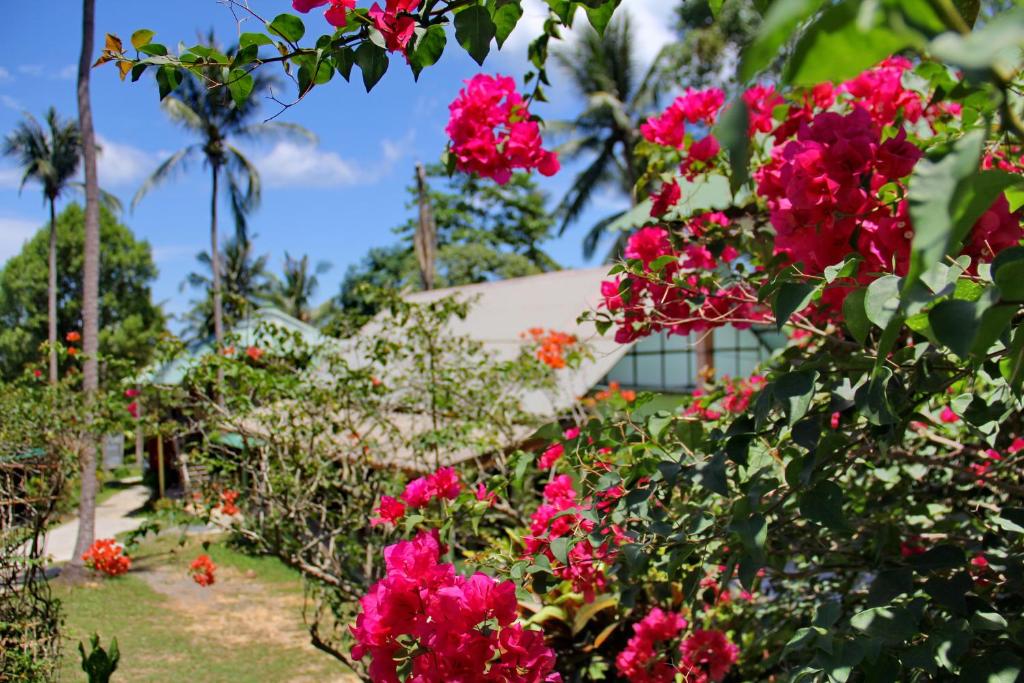 TP Hut Bungalows, Ko Chang (updated prices 2025)