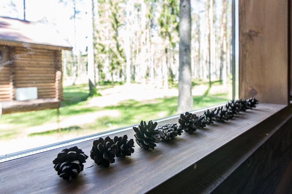 Kauksi Campsite, Kauksi (updated prices 2025)