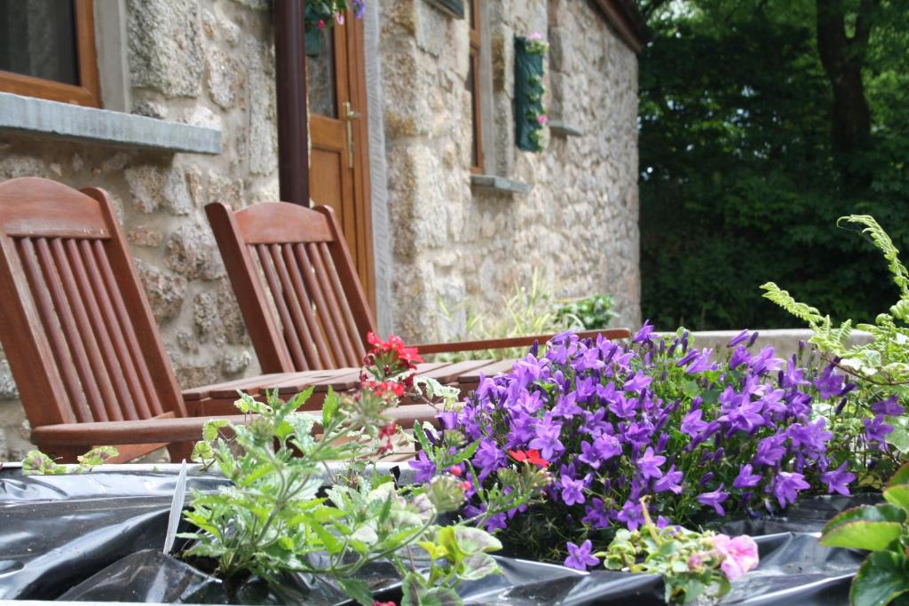 Higher Carthew Farm, Helston (updated prices 2026)