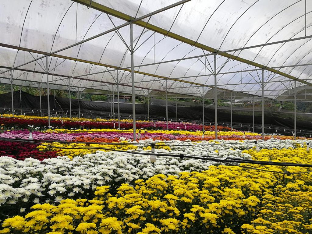 A5 Barrington Square 1 Room Apartment, Cameron Highlands (updated ...