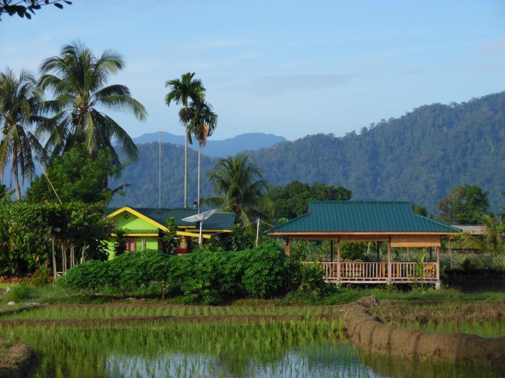 AMBOW Homestay Jungle Trekking & Village Tour, Bukit Lawang (updated ...