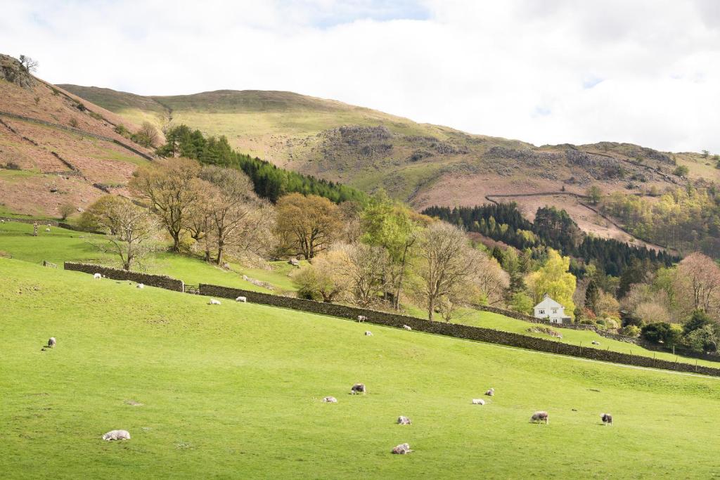 The Traveller's Rest, Grasmere (updated prices 2025)