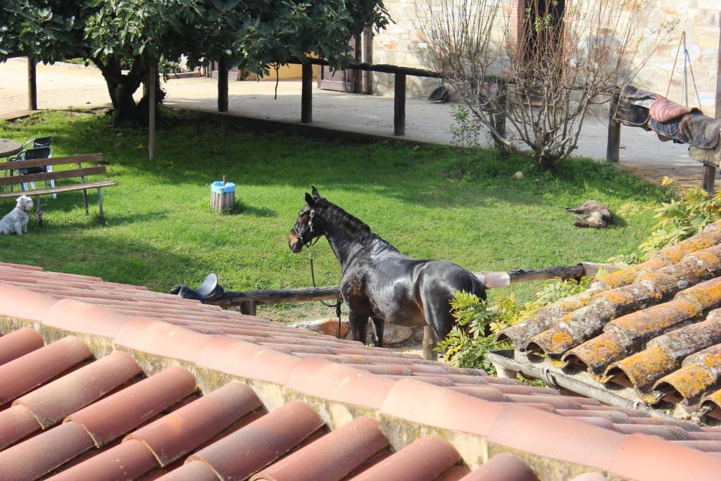 Can Marc, Sant Esteve de Palautordera (precios actualizados 2025)