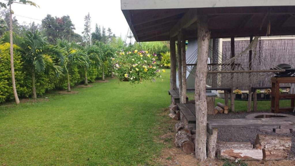 Robbrecht Troost Pottery, Pahoa (updated prices 2025)