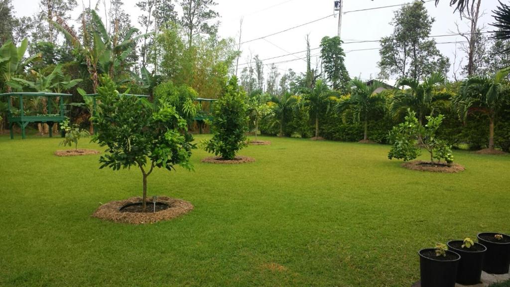 Robbrecht Troost Pottery, Pahoa (updated prices 2025)