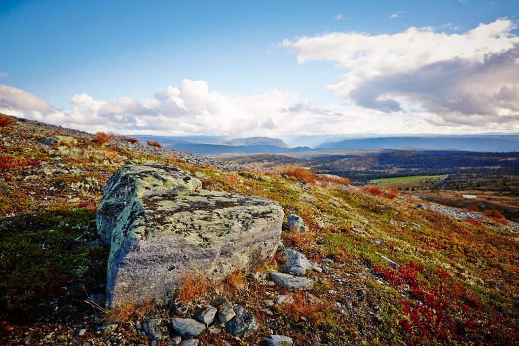 Storefjell Resort, Gol (updated prices 2025)