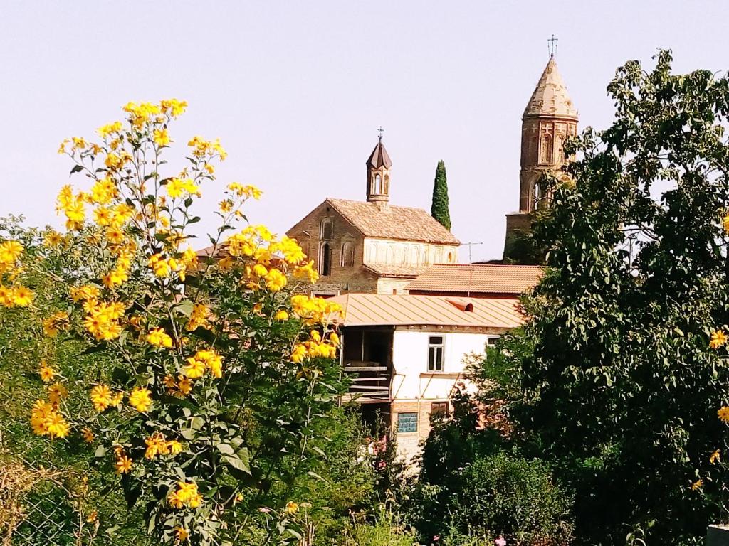 Temuka, Sighnaghi (updated prices 2026)