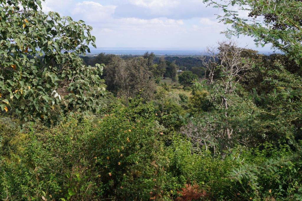 Arusha Villa Karamu Coffee Estate, Usa River (updated prices 2025)