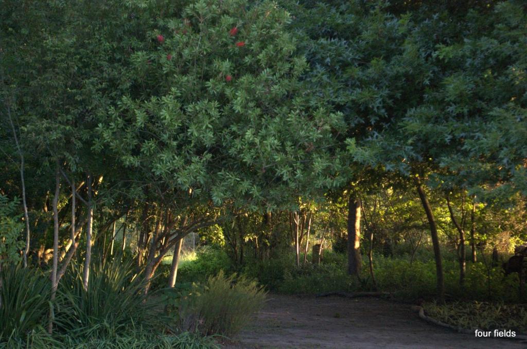 Four Fields Farm, The Crags (updated prices 2025)