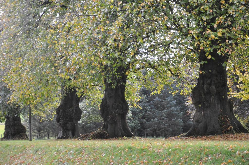 Carnell Country Estate & Holiday Cottages in Ayrshire, Hurlford ...