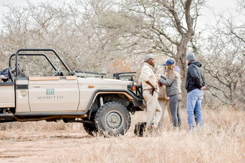 Moditlo River Lodge, Hoedspruit (updated prices 2025)