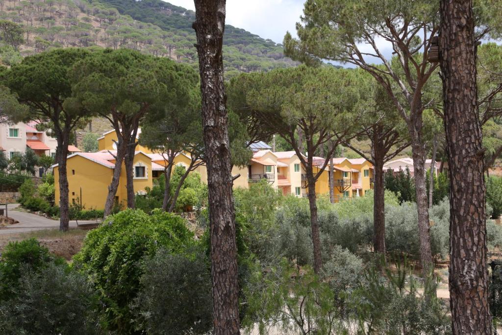 Pineland Hotel and Health Resort, Ḩammānā (updated prices 2025)