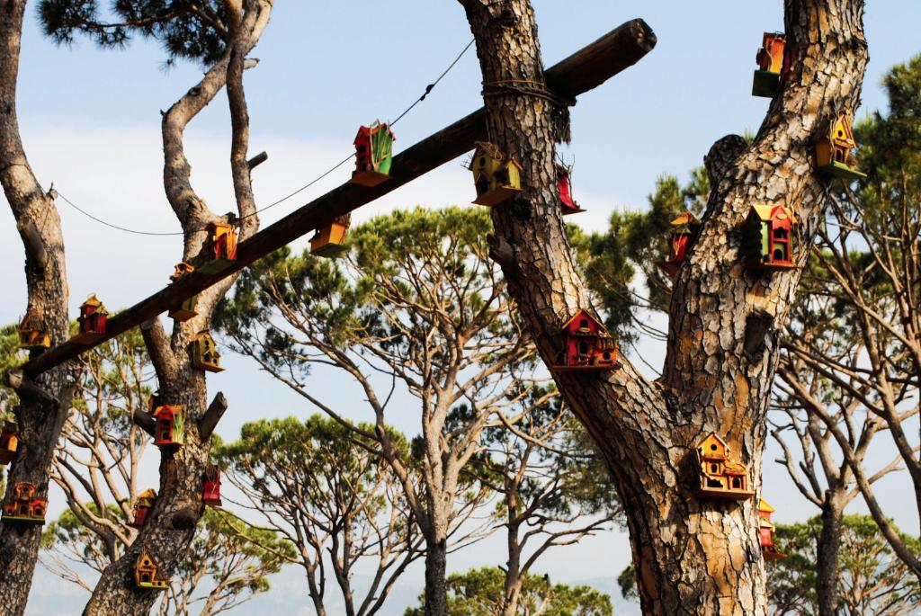 Pineland Hotel and Health Resort, Ḩammānā (updated prices 2025)