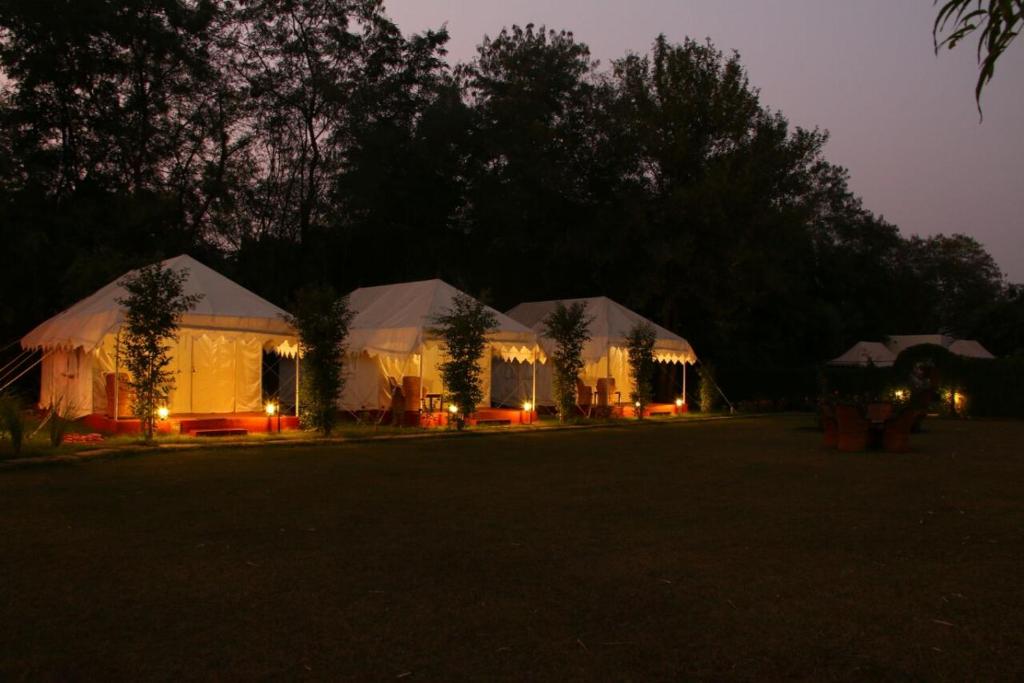 Jungle View Resort Ranthambhore, Khilchipur (updated prices 2025)
