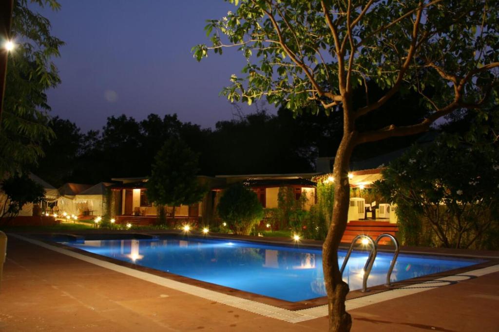 Jungle View Resort Ranthambhore, Khilchipur (updated prices 2025)