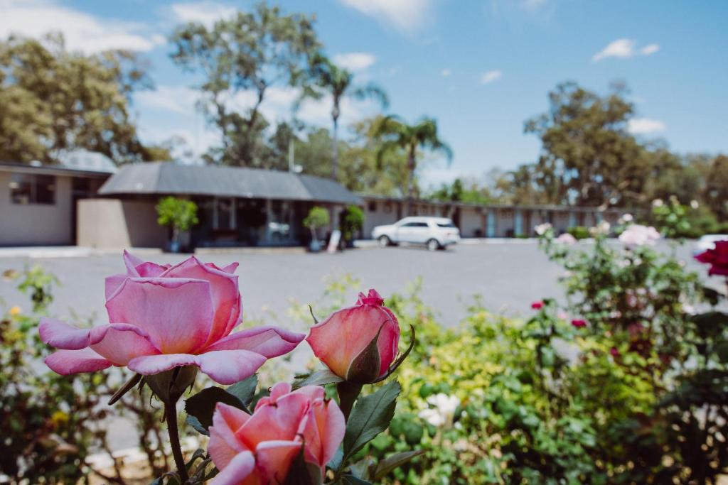 Artesian Spa Motel, Moree (updated prices 2025)