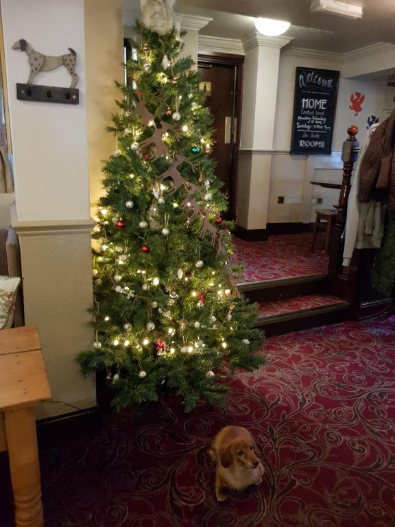 George and Dragon Ashbourne, Ashbourne (updated prices 2025)