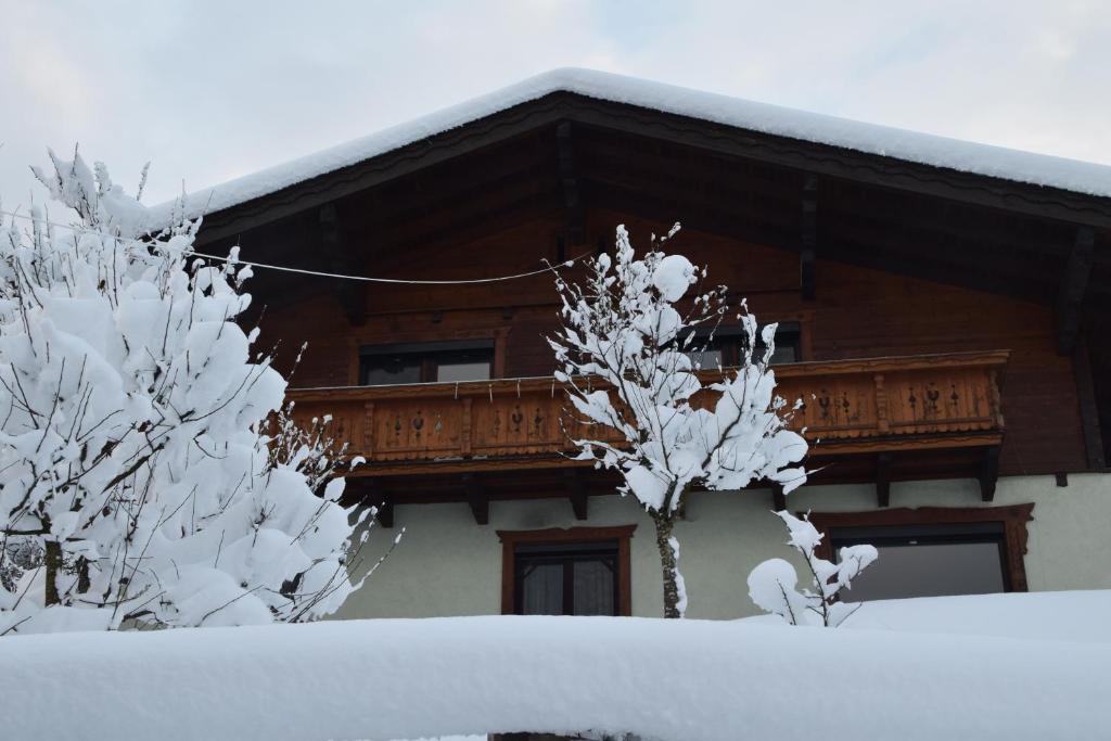 Apartment Christine - Wagrain