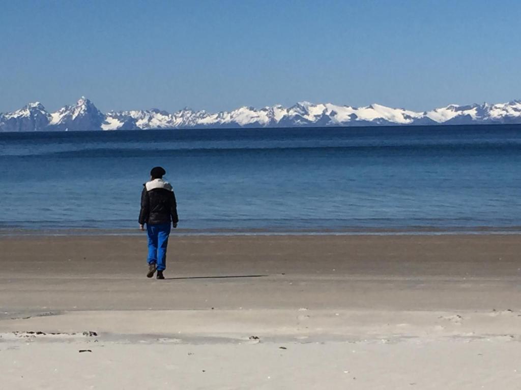 Steigen Lodge Sjøhytter, Engeløya (updated prices 2025)