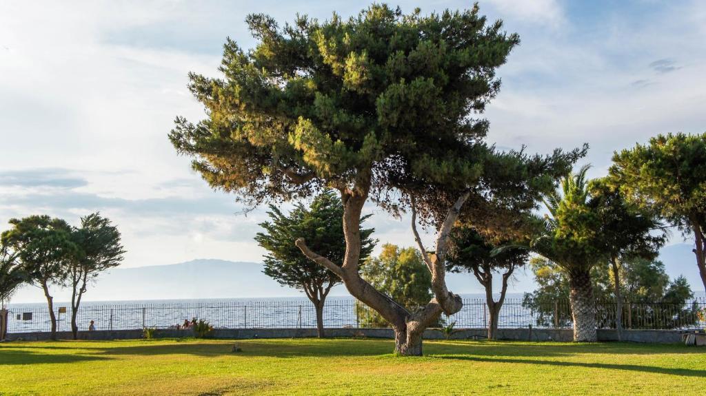 Travel guide Diakopto, Greece - Where to Sleep & Things to Do