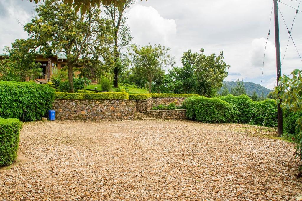 Ichumbi Gorilla Lodge, Kisoro (updated prices 2025)