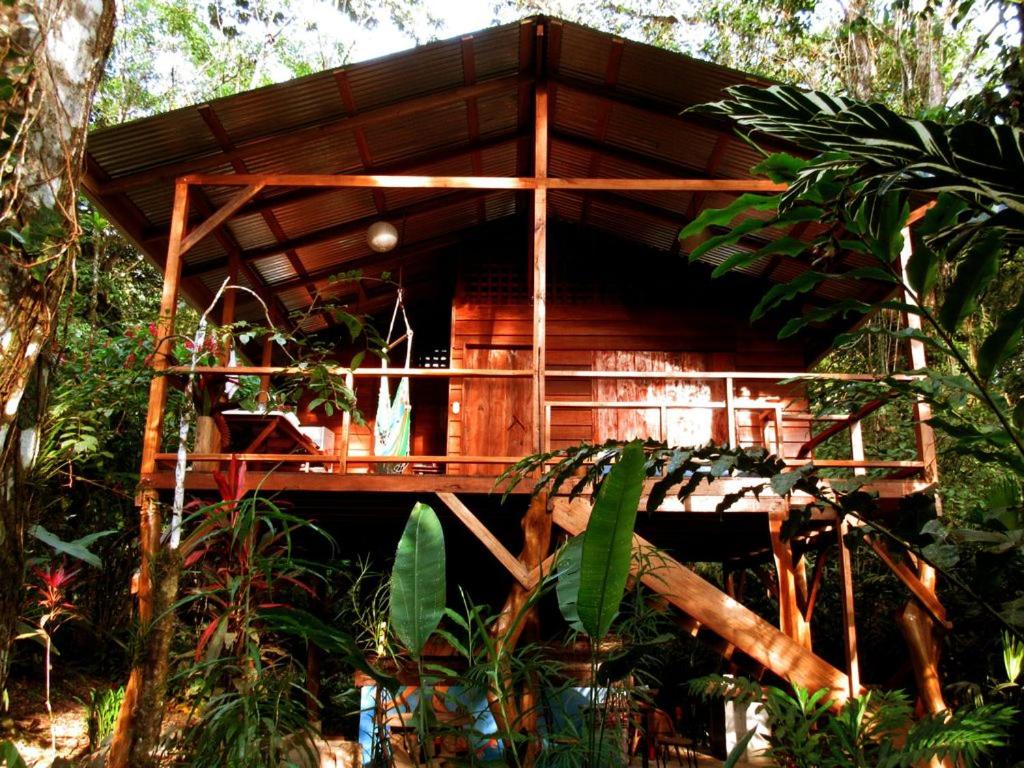 Tranquila, Manzanillo – Updated 2023 Prices