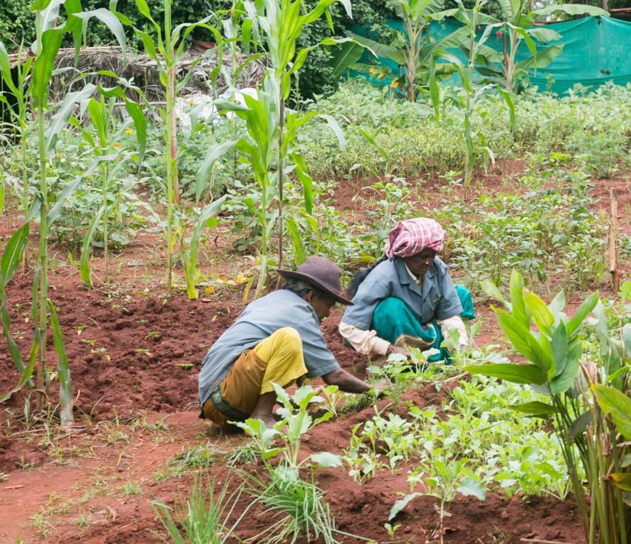 Our Native Village, Bangalore (updated prices 2025)