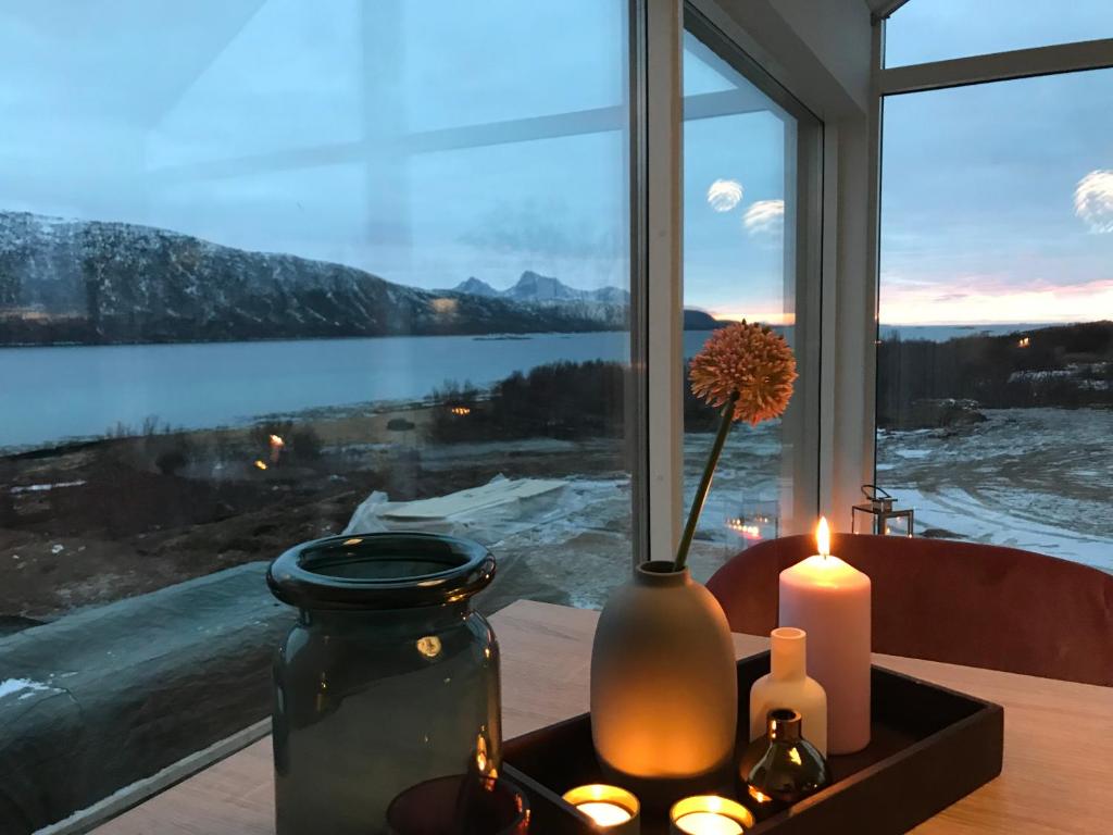 Steigen Lodge Sjøhytter, Engeløya (updated prices 2025)