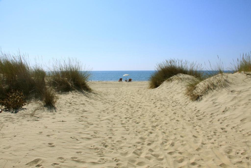 Camping Playa Taray, Islantilla (updated prices 2025)