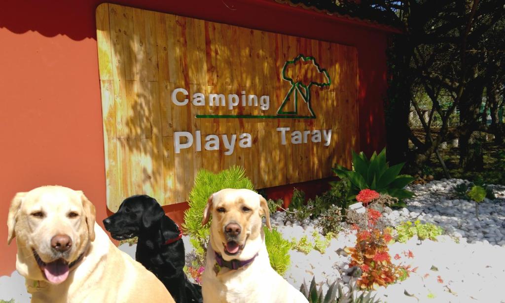 Camping Playa Taray, Islantilla (updated prices 2025)