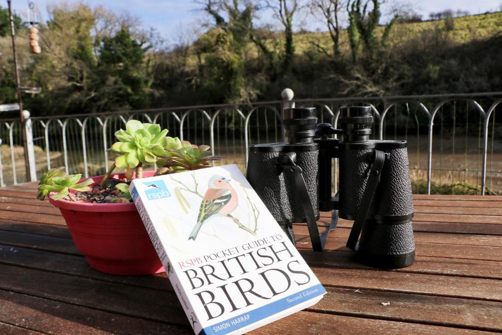 Libro Birdwatching Simon Harrap RSPB Pocket Guide To British Birds ...