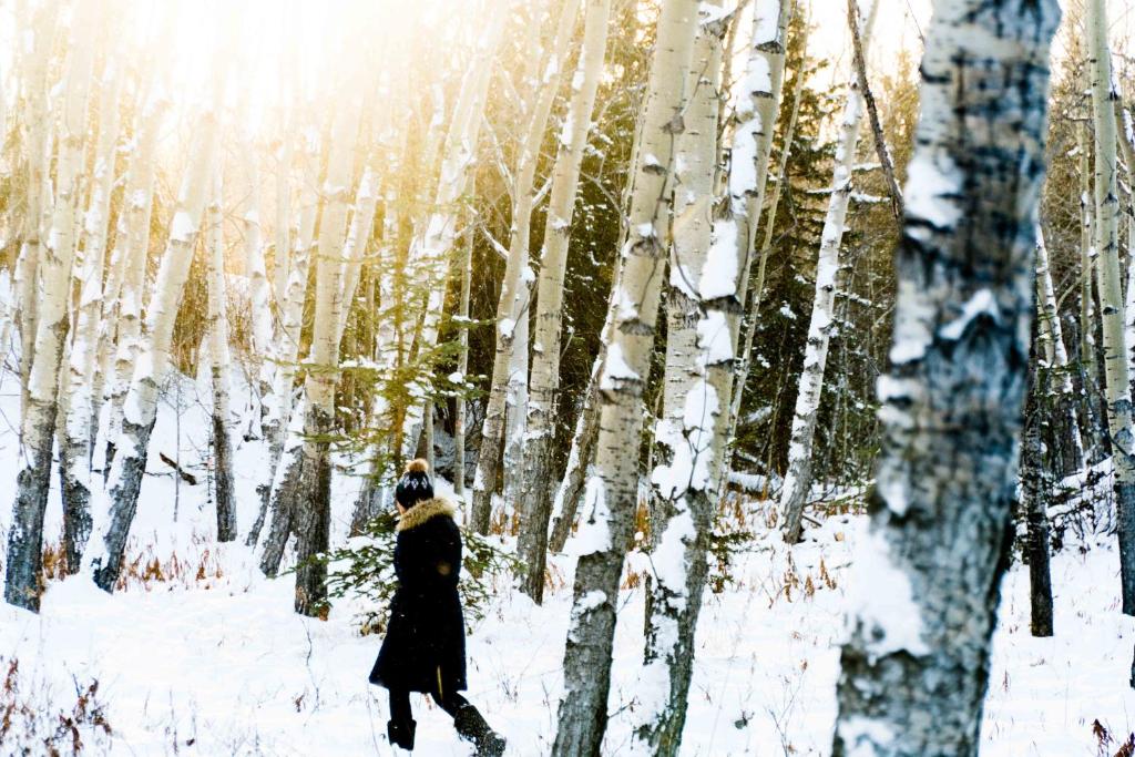 Boreale Ranch, Carcross (updated prices 2025)