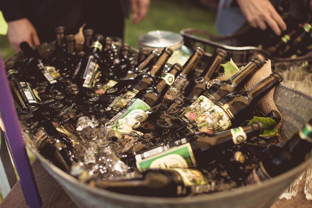 Castel Haller, Ogra (prețuri actualizate 2025)