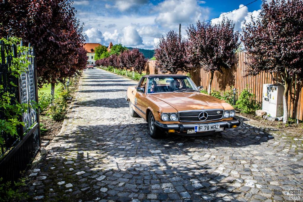 Castel Haller, Ogra (prețuri actualizate 2025)