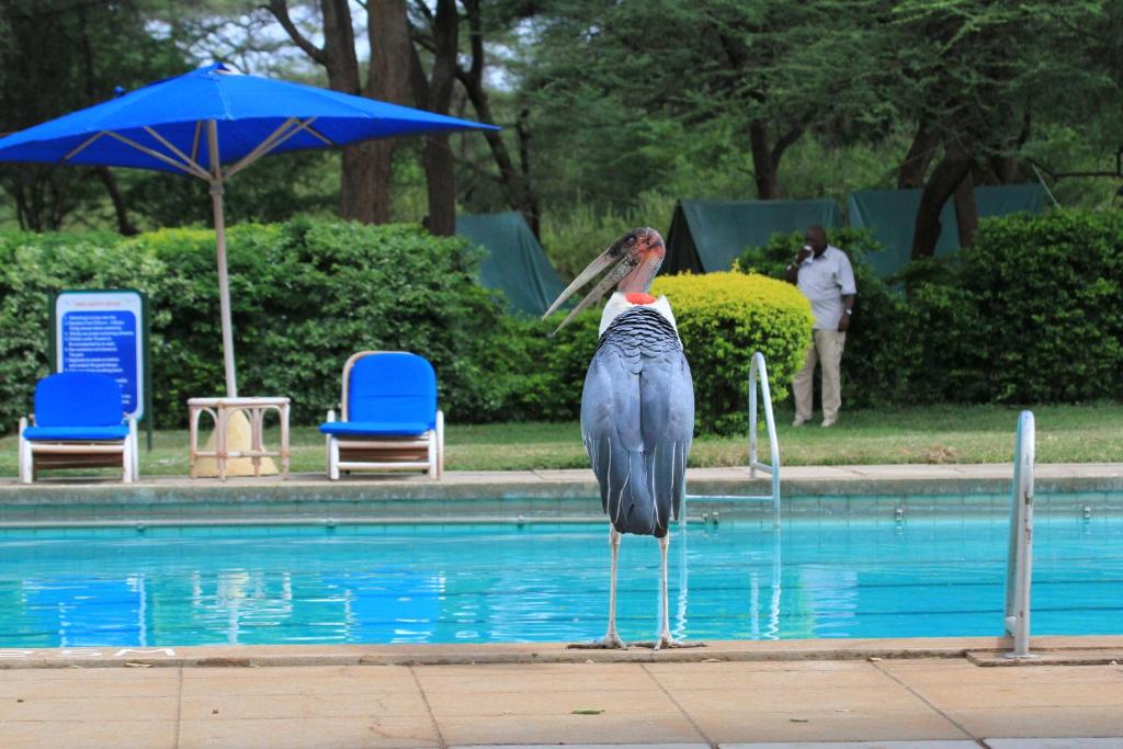 Lake Bogoria Spa Resort, Marigat (updated prices 2025)
