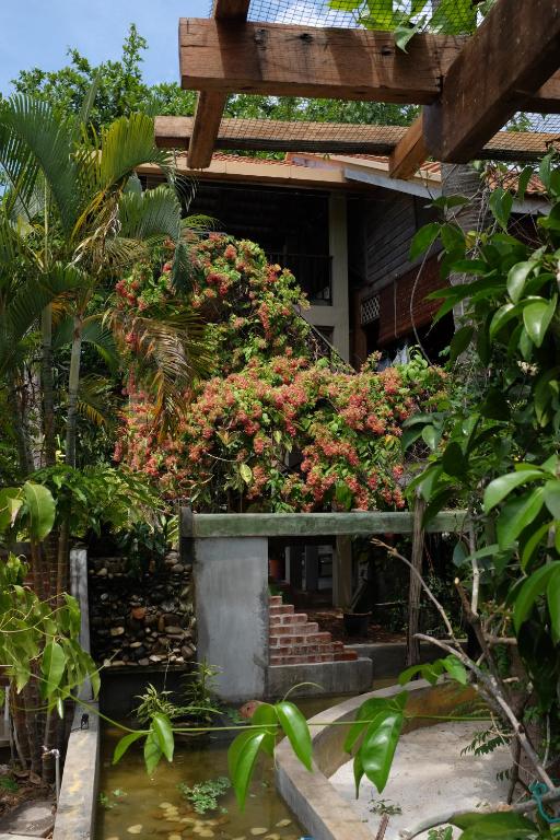 Panji Panji Tropical Wooden Home, Pantai Cenang (updated prices 2025)