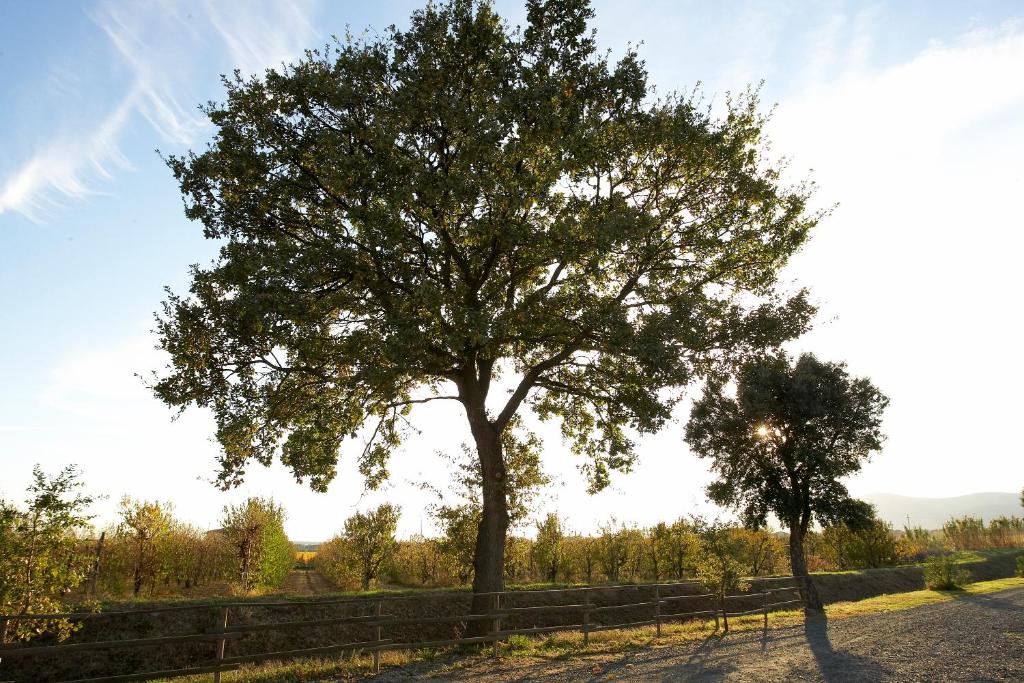 Agriturismo Lucerna del Lago Prile, Castiglione della Pescaia (updated ...