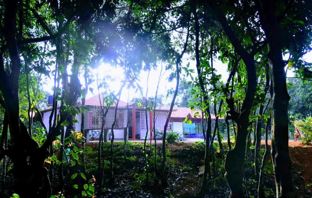 Meadow Muse - Sringeri